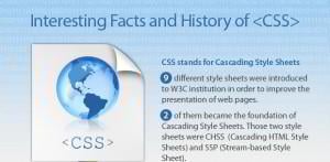 CSS Infographic - Interesting Facts and History ⭐MonstersPost