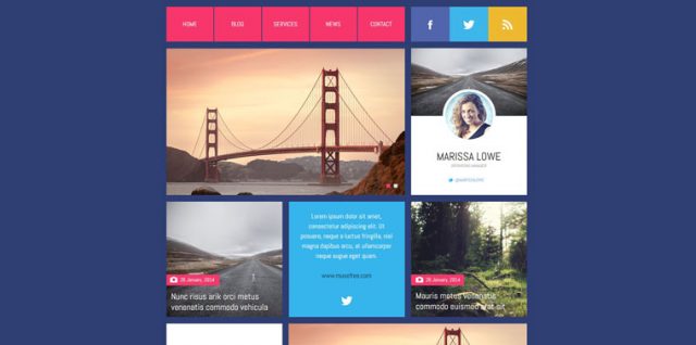 Top 20 Adobe Muse Templates to Build Sites Code-Free