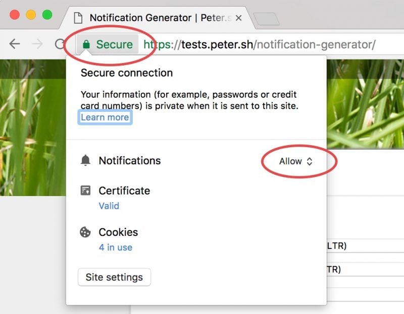 WordPress Push Notifications