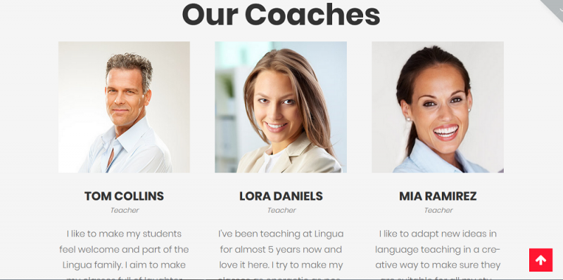 Spellolite Language School Free WordPress Template