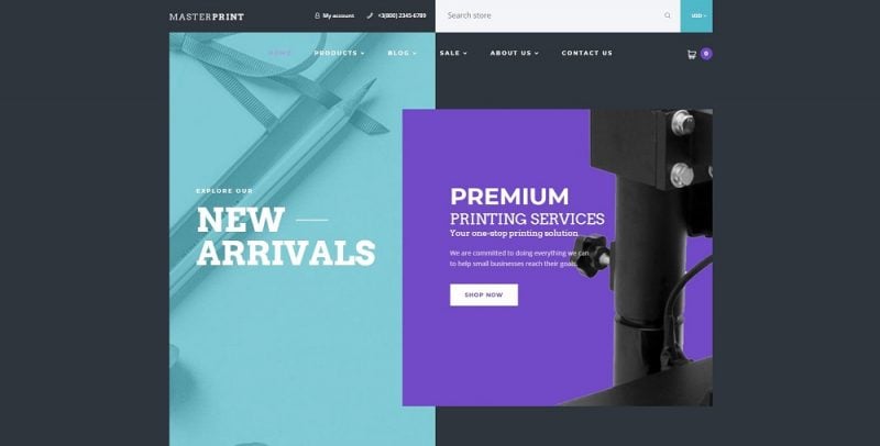 Top 80 Best Shopify Themes for 2020