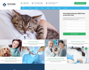 40 Best HTML5 Health and Medical Website Templates