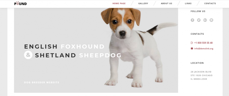 50 Best Animal and Pets HTML templates – Yes Web Designs