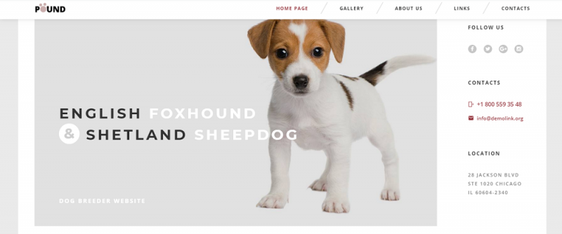 50 best Animal and Pets HTML templates