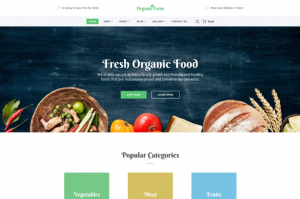 50 Best Food Website Templates That Satisfy All Food Lovers 2025