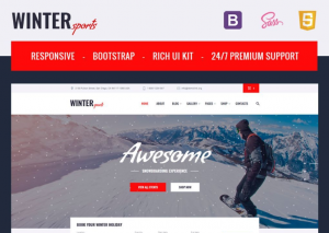 50 HTML Sport Website Templates for a Top-Notch Design – Yes Web Designs