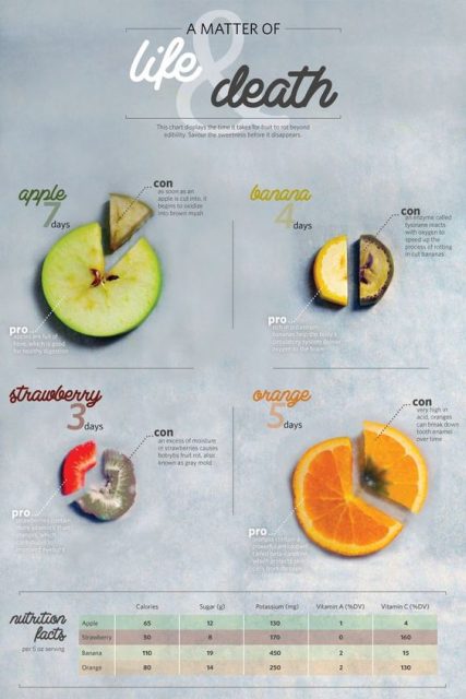 Easy Recipes Infographic for Your Culinary Blog
