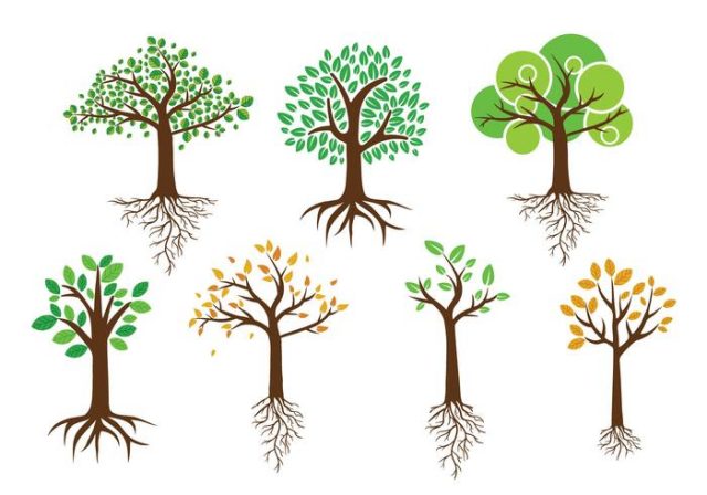 Represent Growth, Peace and Nature with a Tree Illustration