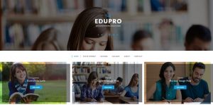 TOP 50 Best School and Training WordPress Themes 2023