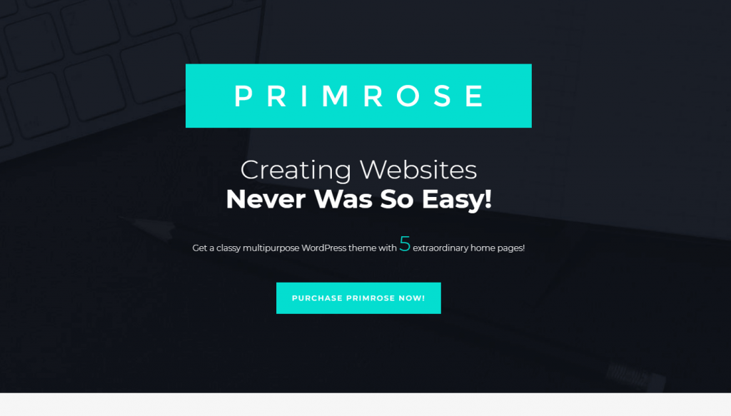 85 Beautiful Themes For Your Photography Website 2025